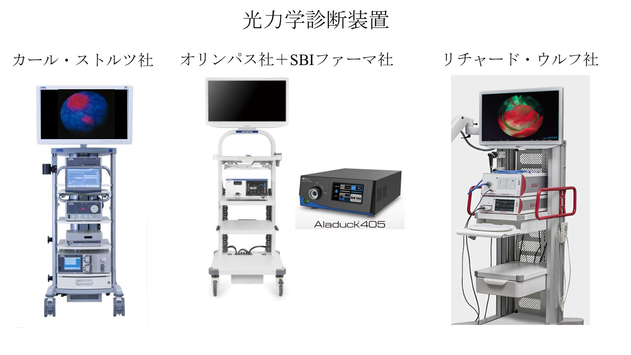 膀胱癌のPDD | 日本光線力学学会（JPA）